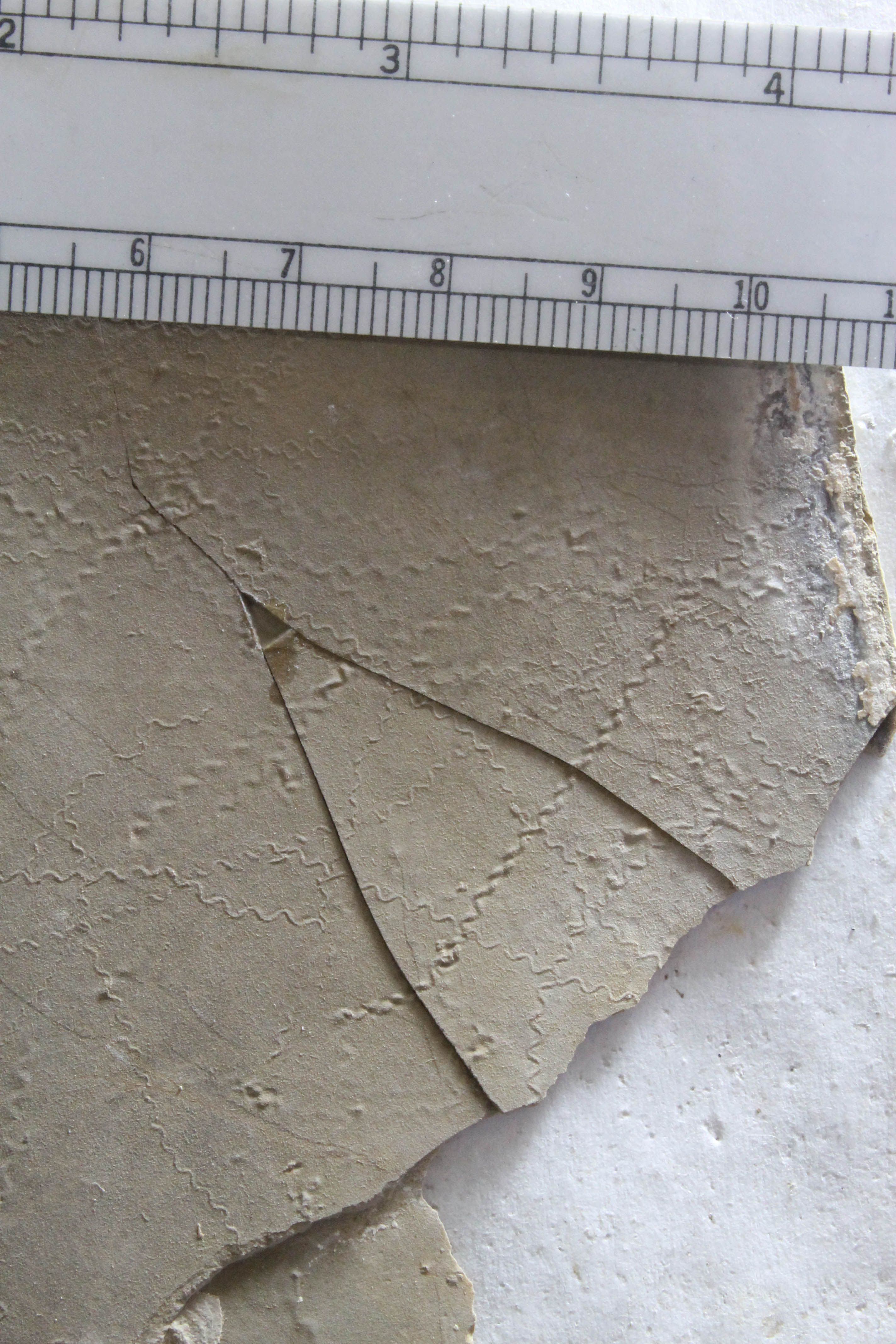 KU Ichnology